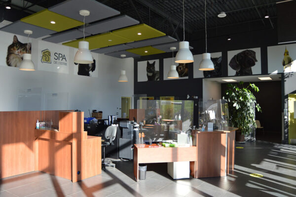 Le nouveau refuge - SPA Estrie - Refuge - Adoption - Médaillon