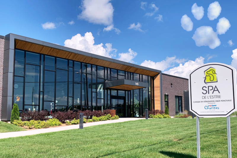 Blogue Info-Animaux - SPA Estrie - Refuge - Adoption - Médaillon