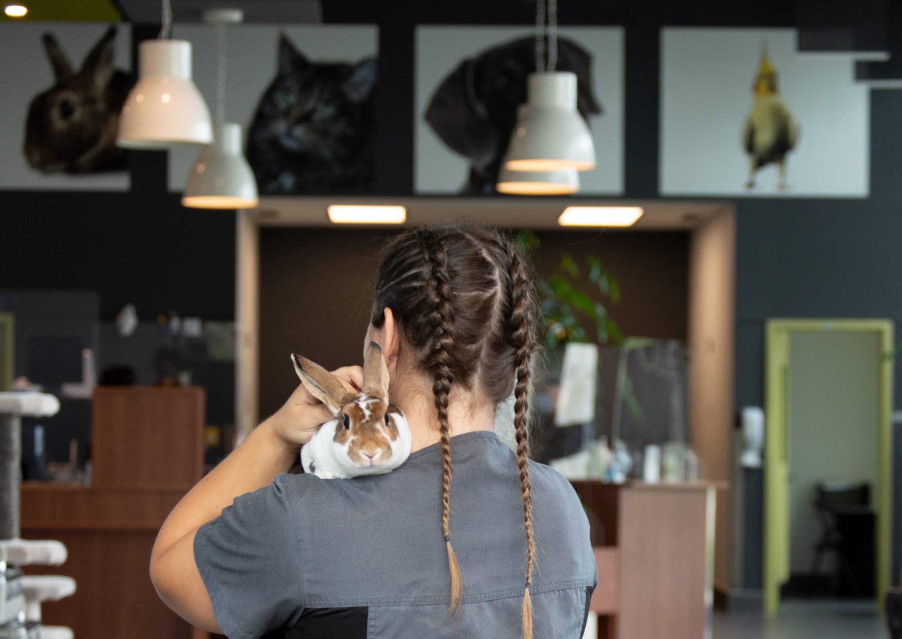 SPA Estrie - La Société protectrice des animaux de l’Estrie - Refuge ...