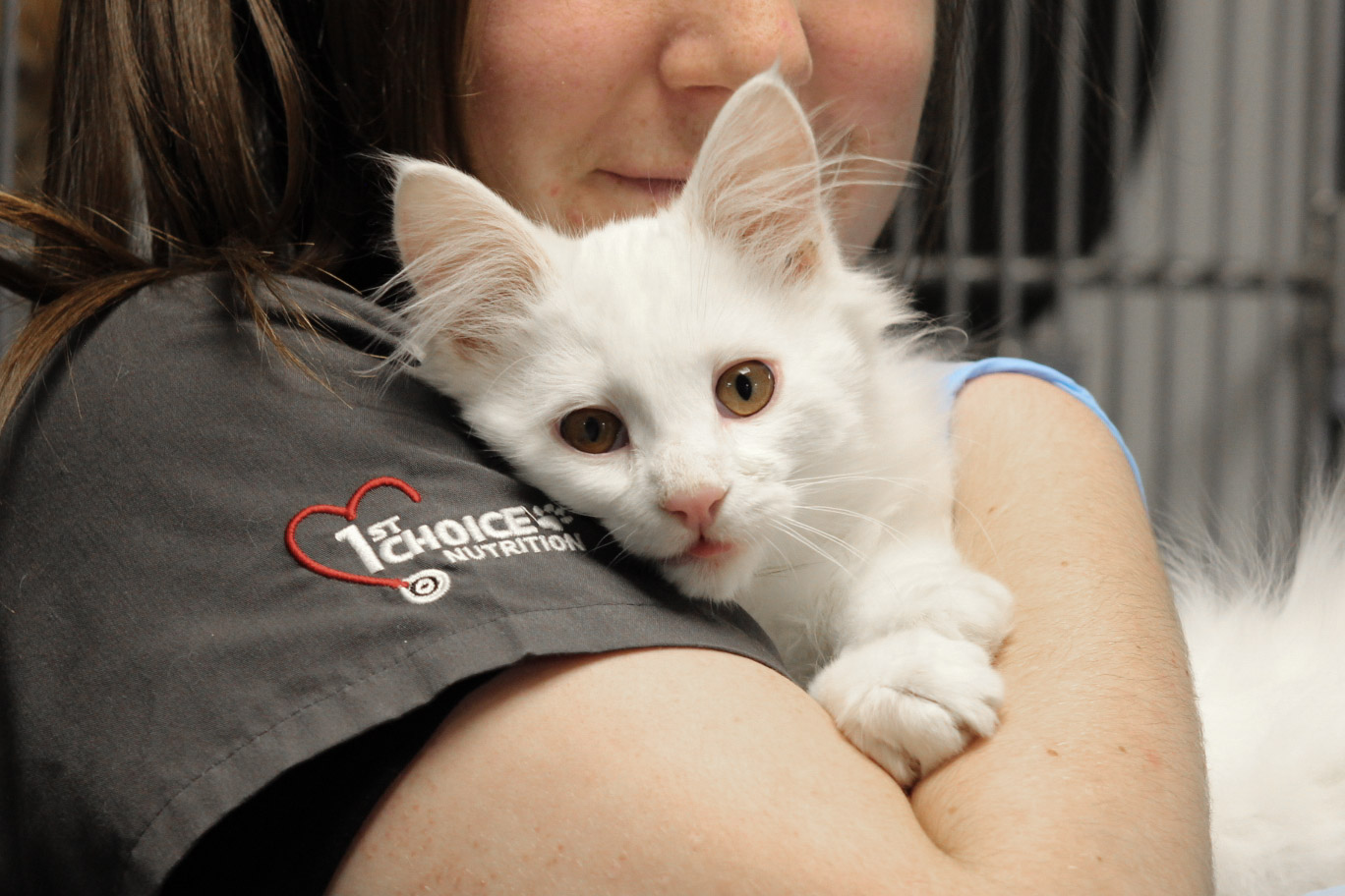 SPA Estrie - La Société protectrice des animaux de l’Estrie - Refuge ...