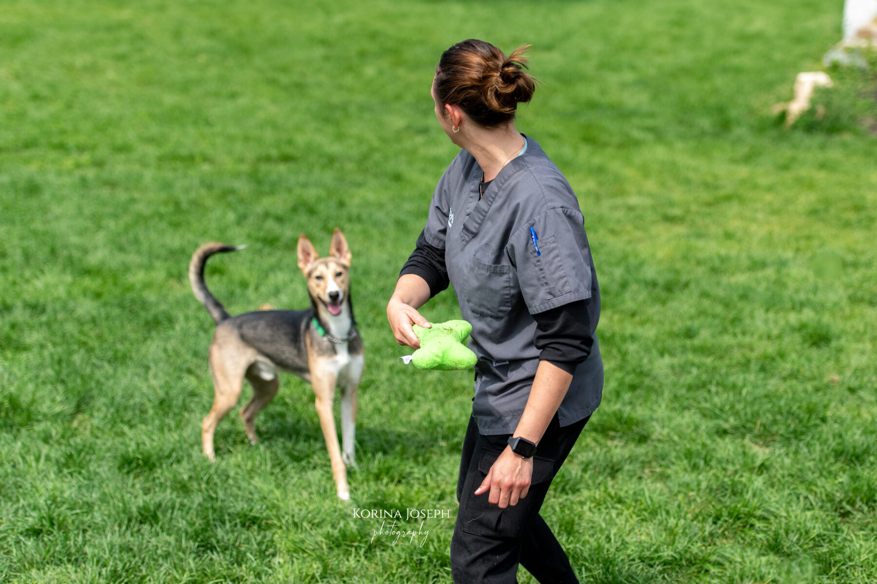 SPA Estrie - La Société protectrice des animaux de l’Estrie - Refuge ...
