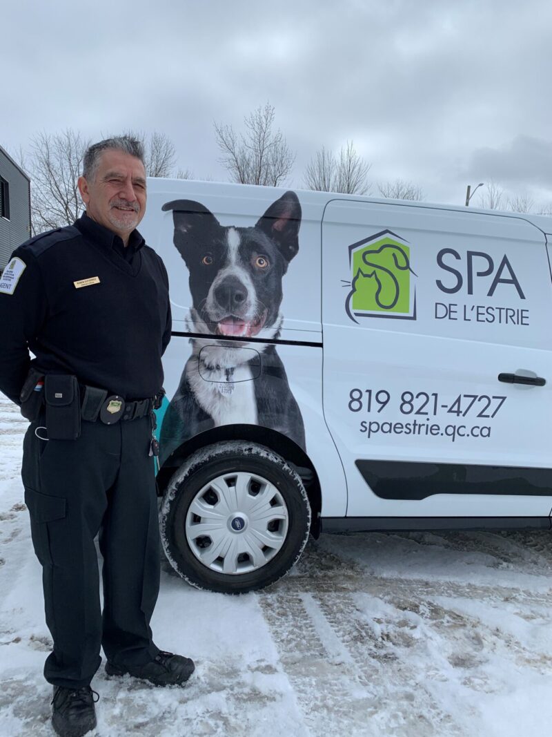 SPA Estrie - La Société protectrice des animaux de l’Estrie - Refuge ...
